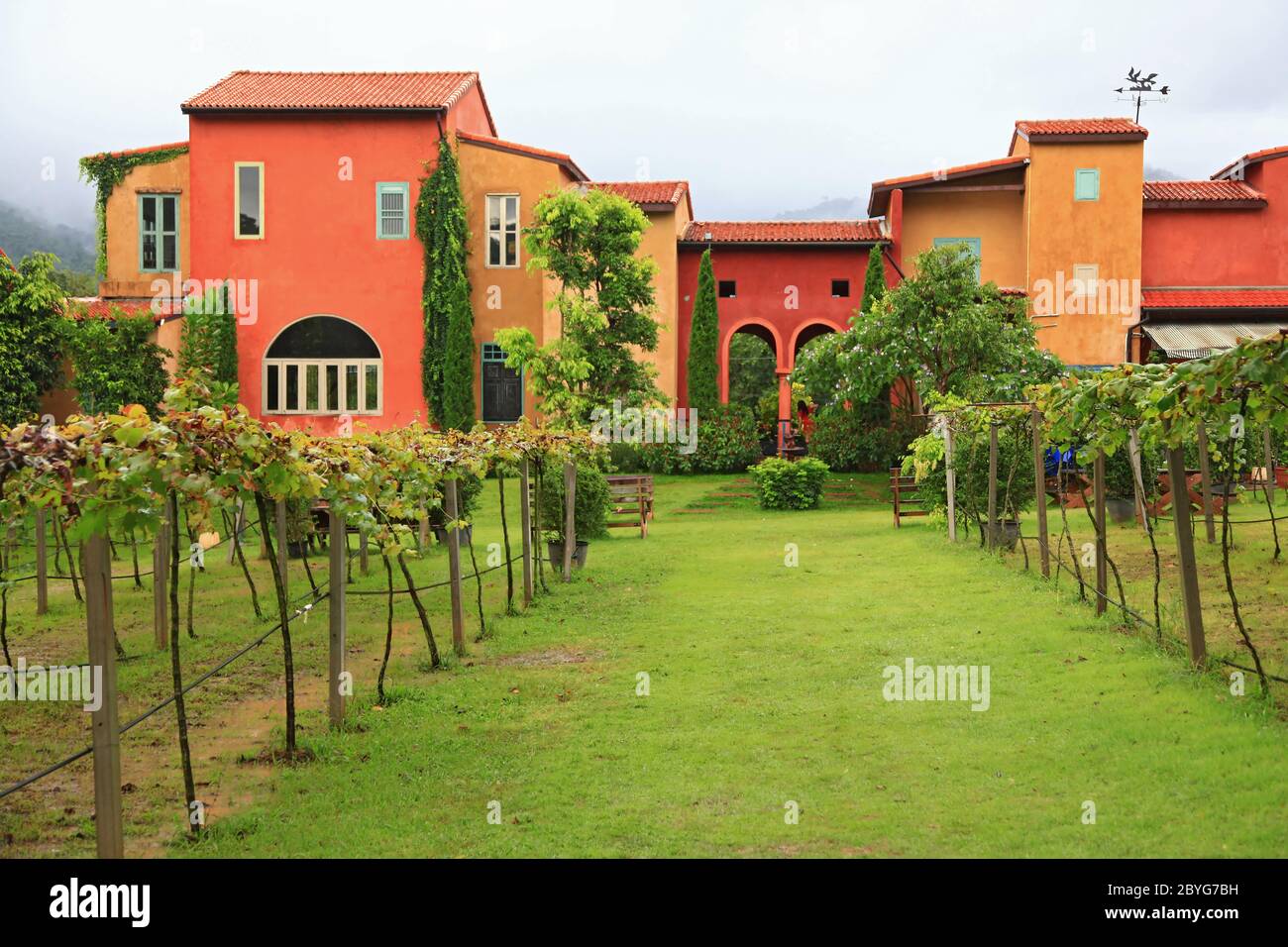 Brick house with old door and vineyard hi-res stock photography and ...