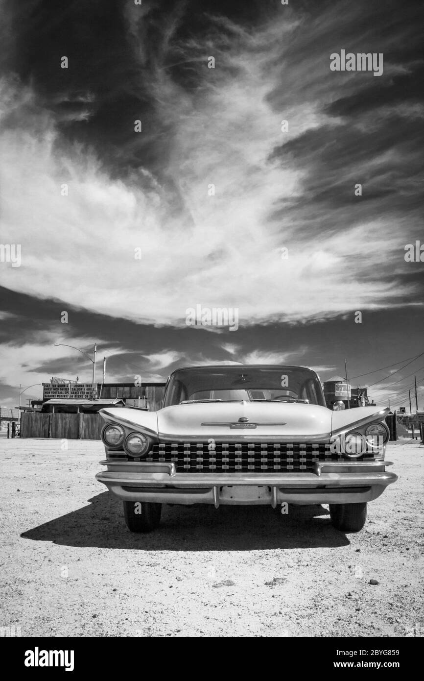 Green tree life in Black and White Stock Photos & Images - Alamy