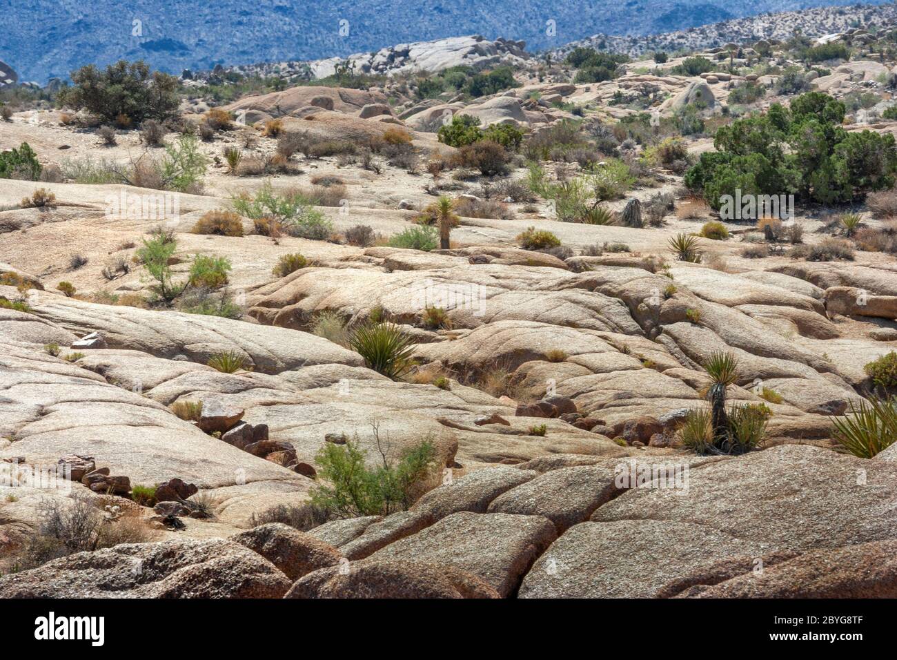 Green island shallow water around hi-res stock photography and images ...