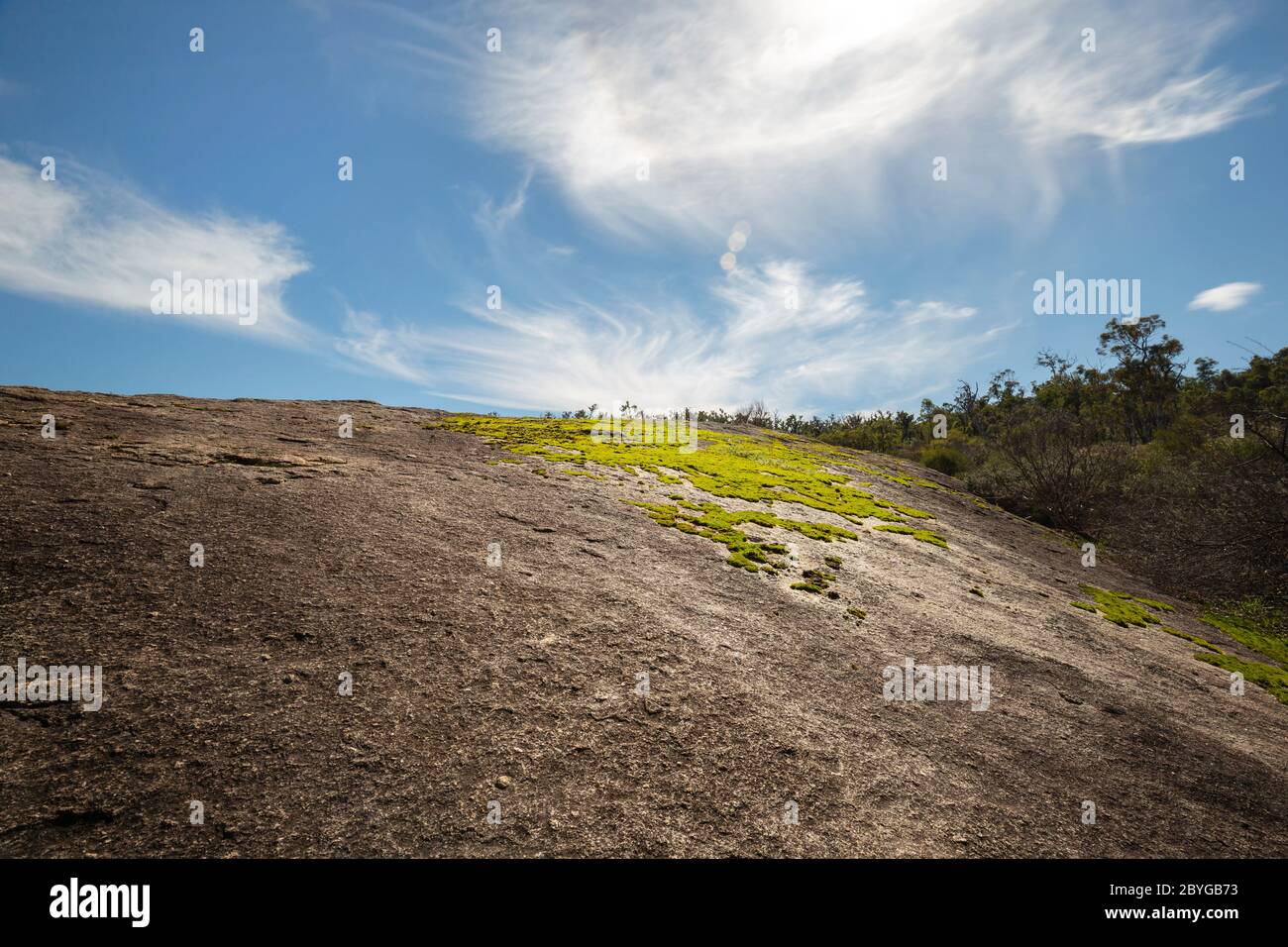 a day in John Forest State Park, near Perth in Western AUstralia Stock ...