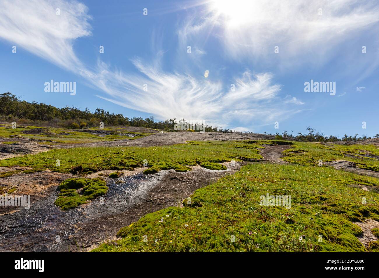 a day in John Forest State Park, near Perth in Western AUstralia Stock ...