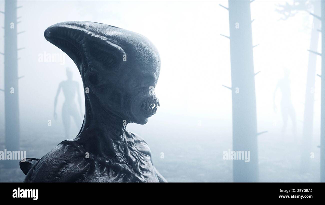 scary monster in fog night forest. Fear and horror. Mistic and ufo ...