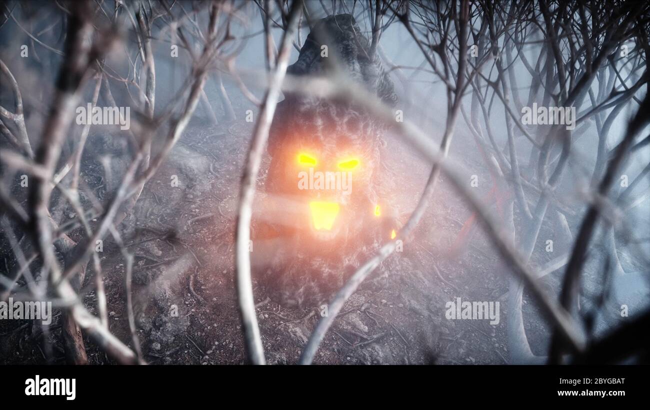 stone screaming head in fog night forest. Fear and horror. Mistyc ...