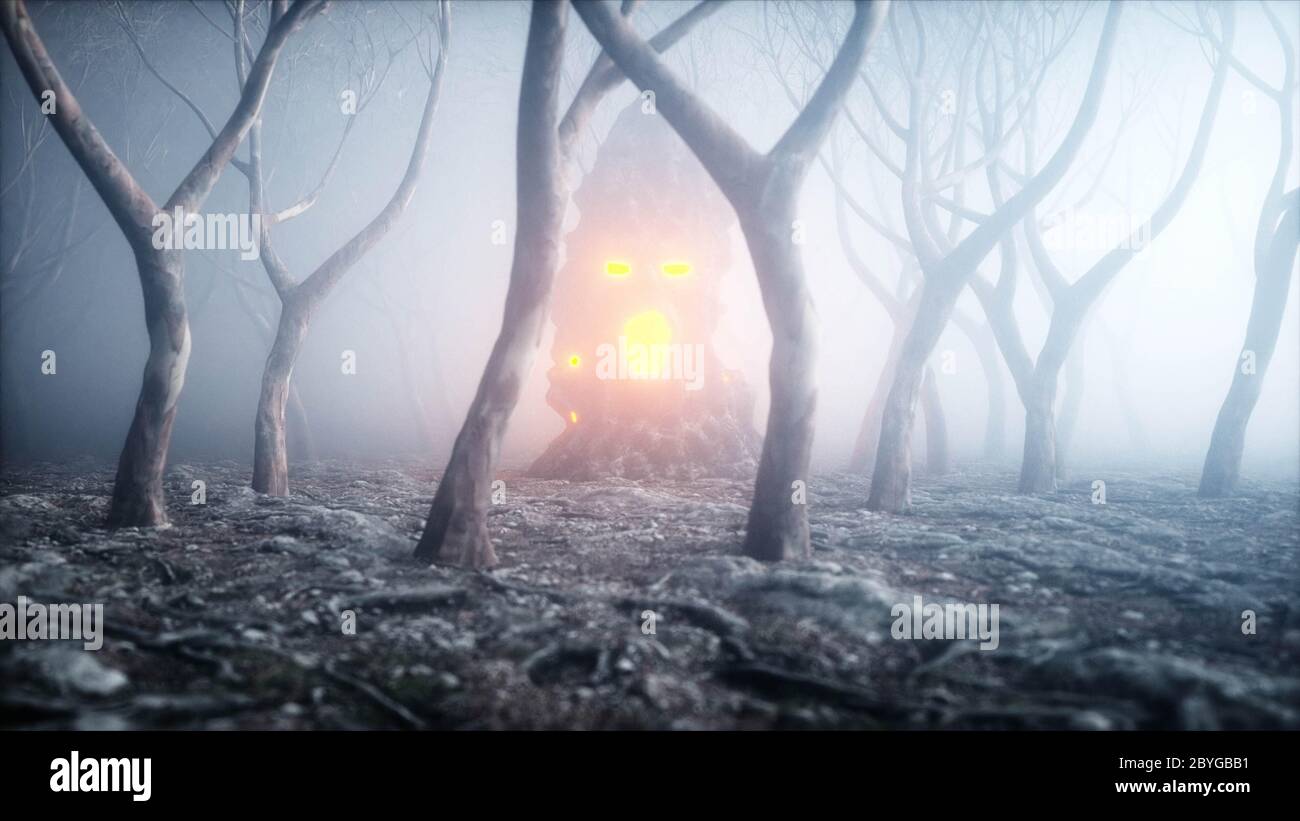 Mysterious stone head in forest hi-res stock photography and images - Alamy