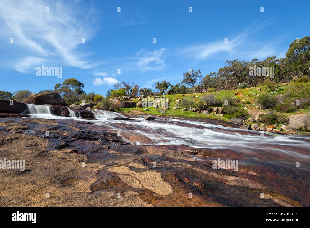 a day in John Forest State Park, near Perth in Western AUstralia Stock ...