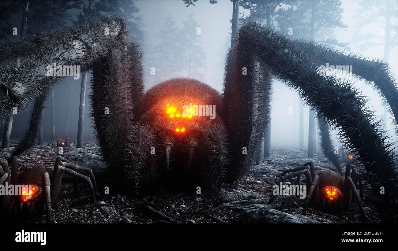scary gigant spider in fog night forest. Fear and horror. Mistic and ...