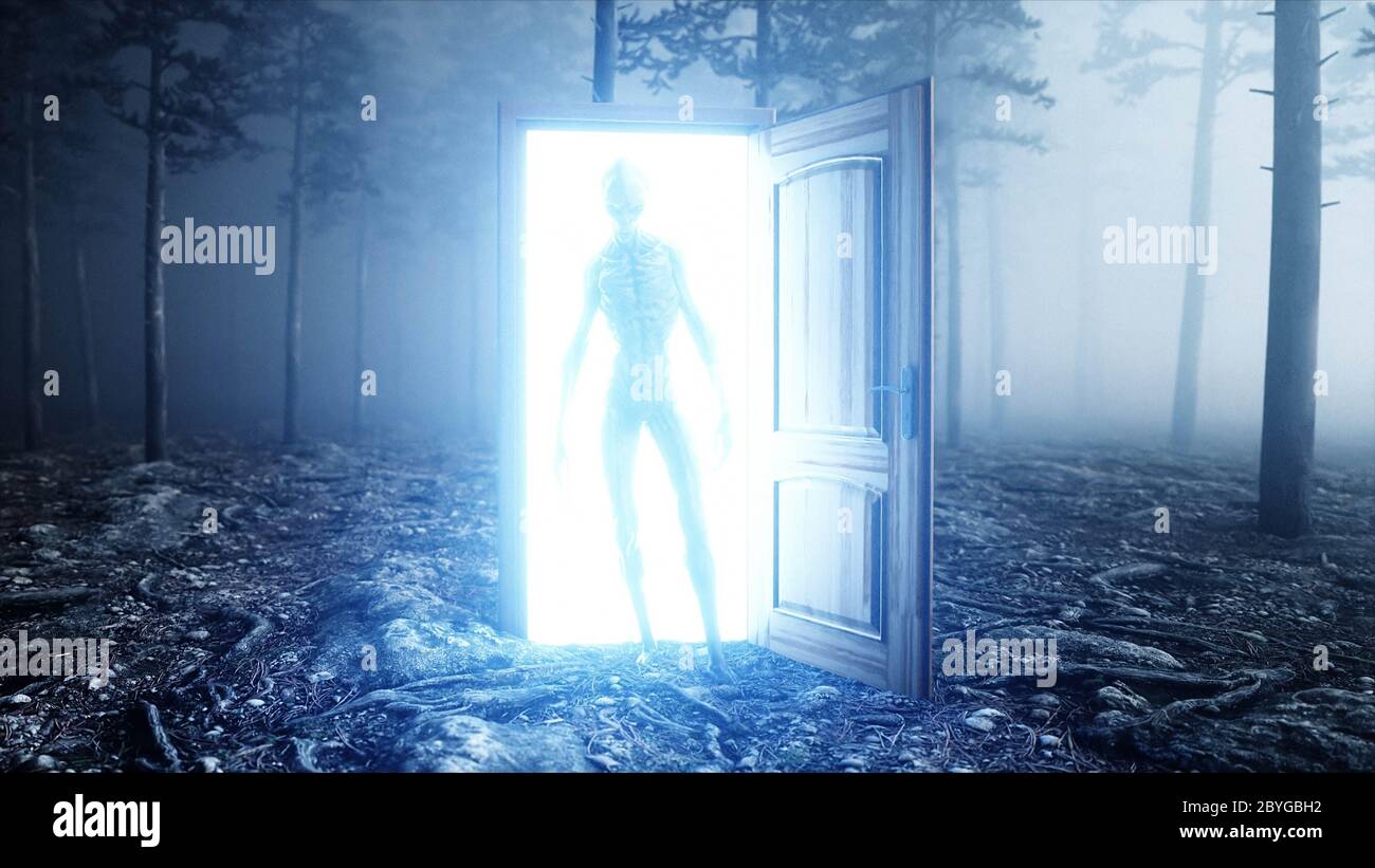 Alien in fog night forest. Light portal door. UFO concept. 3d rendering ...