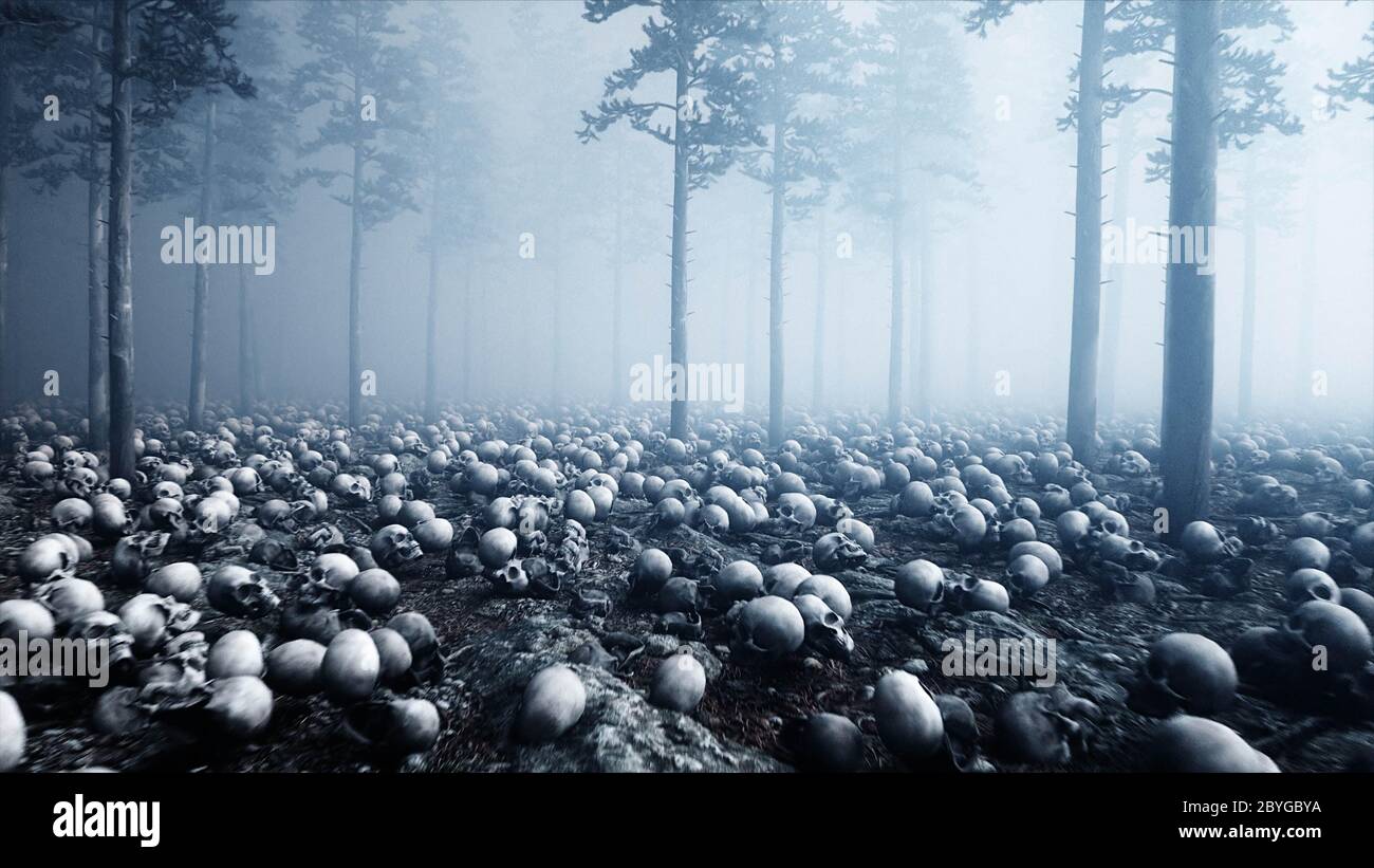 Scary old skulls in fog night forest. Fear and horror. Mistic and ...