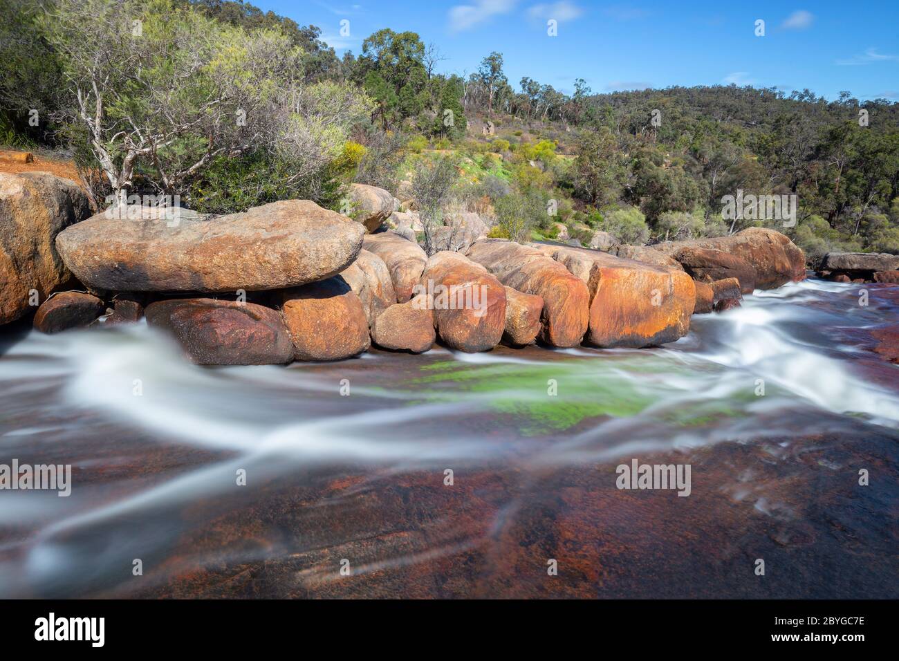 a day in John Forest State Park, near Perth in Western AUstralia Stock ...