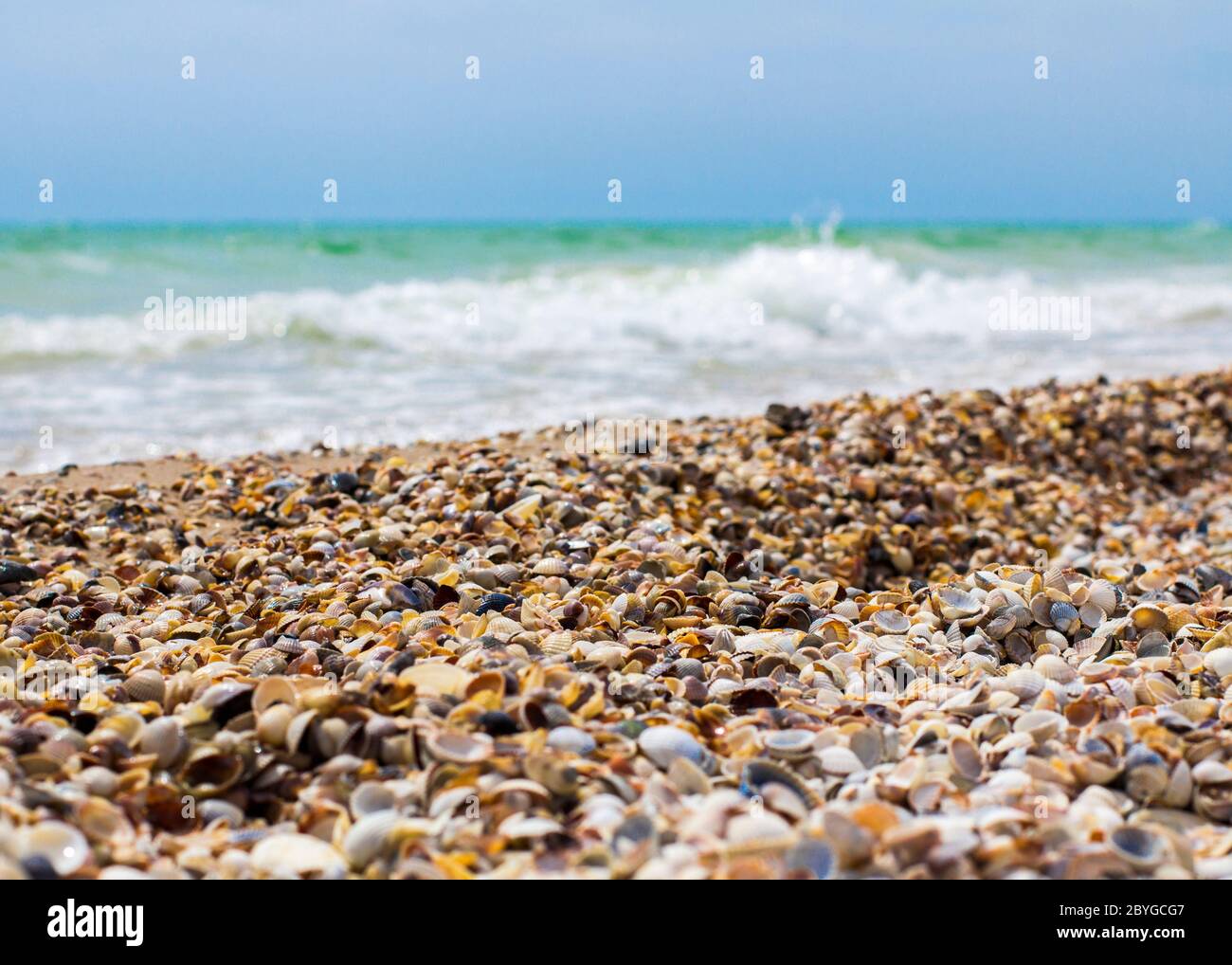 Seashell broken pebble stone shore hi-res stock photography and images ...