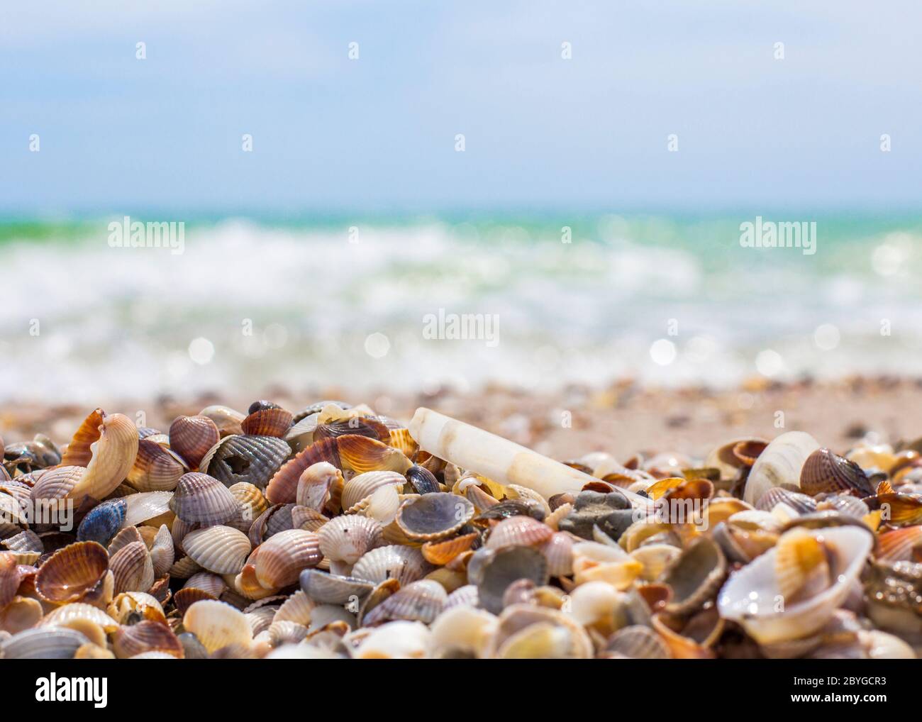 Seashell broken pebble stone shore hi-res stock photography and images ...