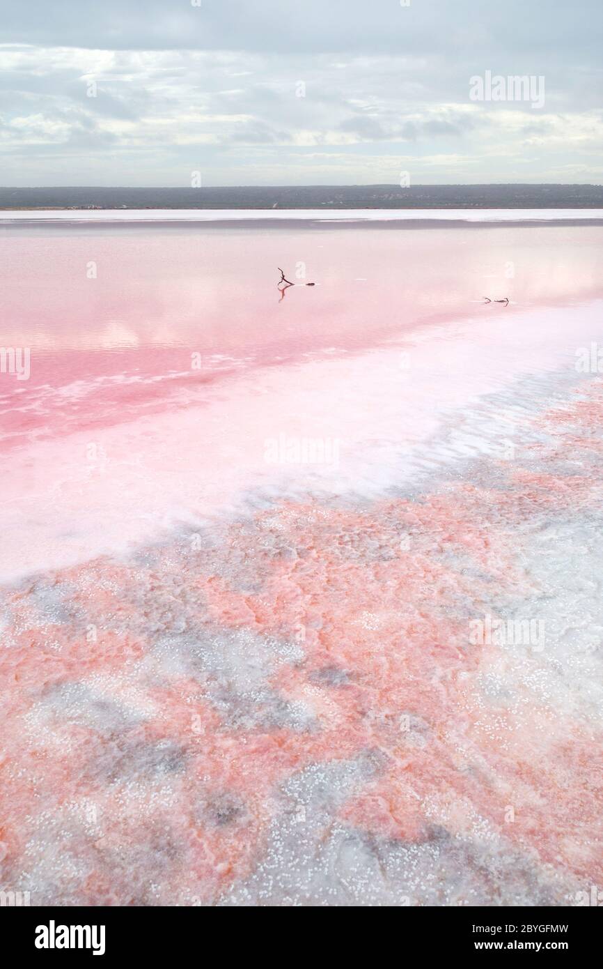 Pink lake at kalbarri national park hi-res stock photography and images ...