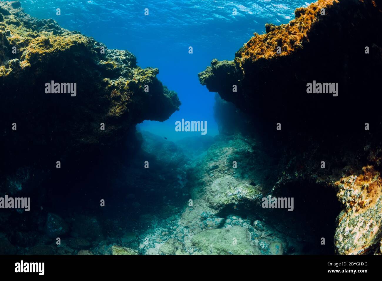 Underwater scene with rocks in blue ocean Stock Photo - Alamy