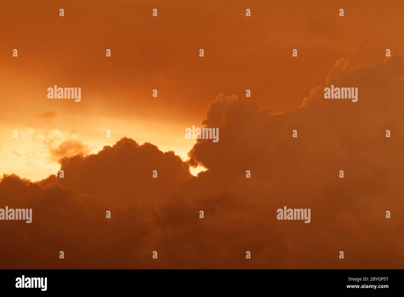 Yellow colors hi-res stock photography and images - Alamy