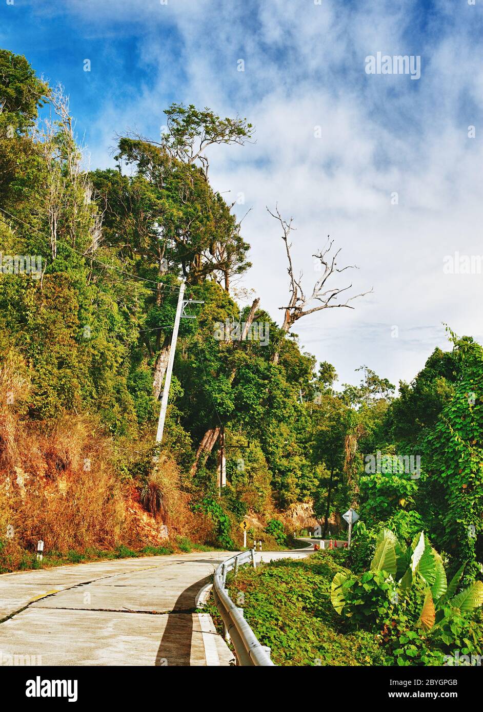 Highway coconut tree hi-res stock photography and images - Alamy