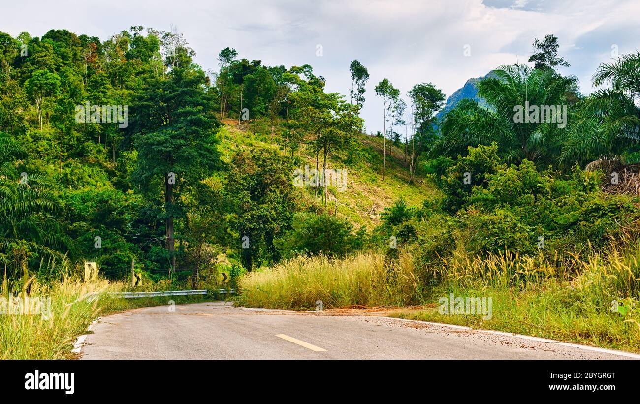 Highway coconut tree hi-res stock photography and images - Alamy