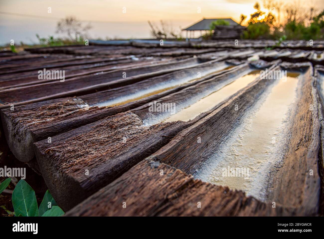 Salt farm. Making sea salt in Bali. Salt making process. Manufactures ...