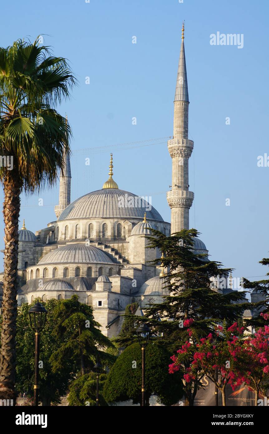 Blue mosque in Istanbul, Turkey Stock Photo - Alamy