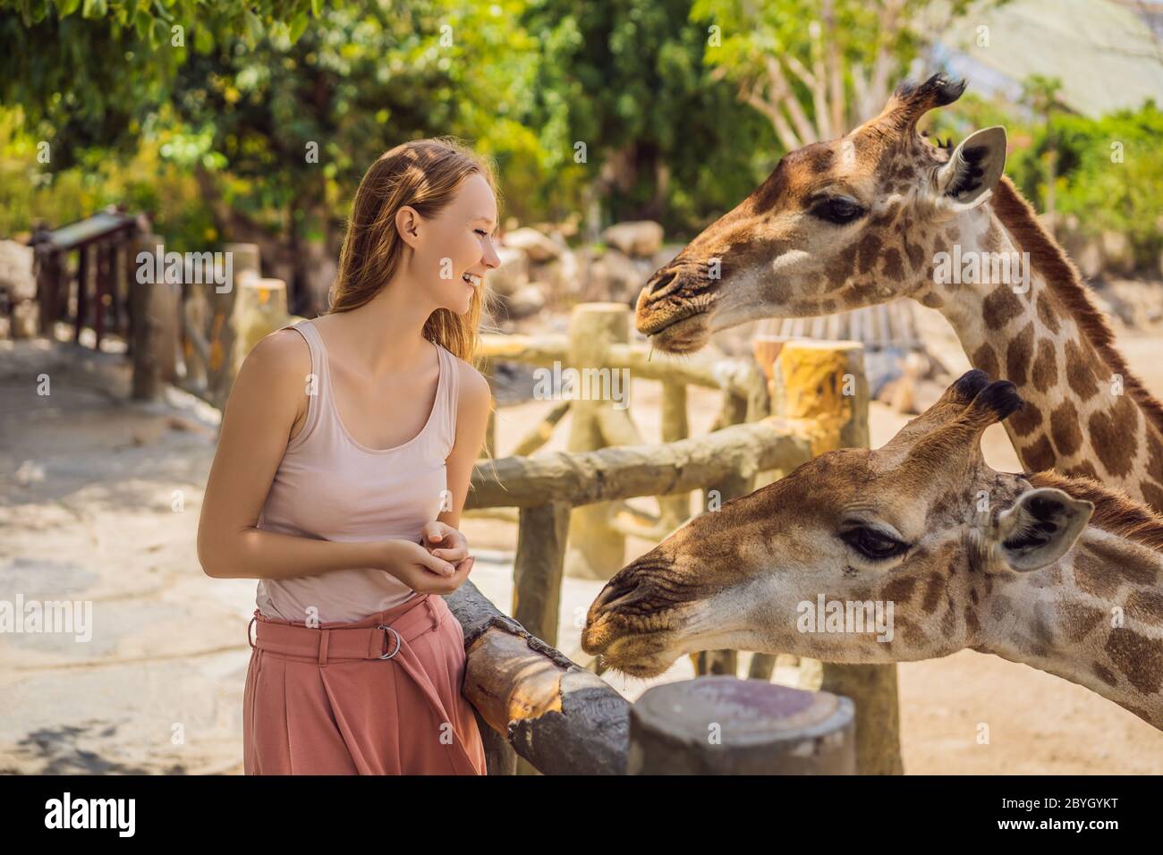 Person watching zoo animals hi-res stock photography and images - Alamy