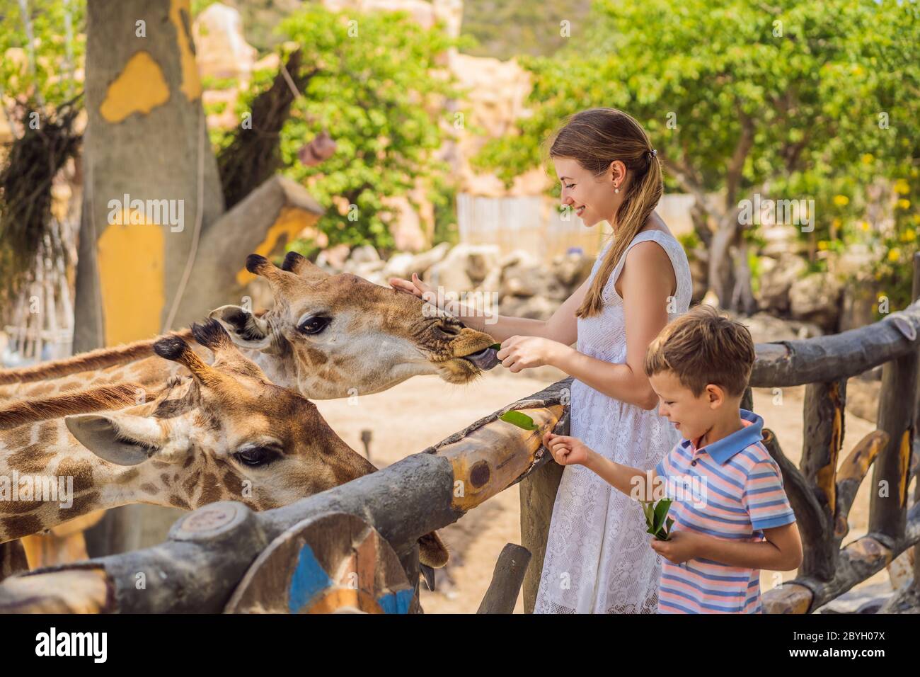 People Feeding Animals At The Zoo
