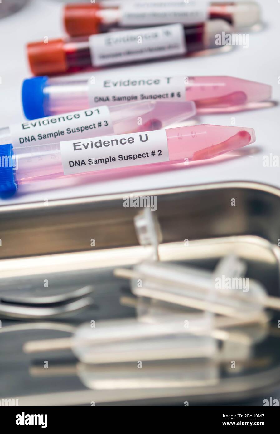 Hematological analysis with forensic test kit in a murder in a crime ...