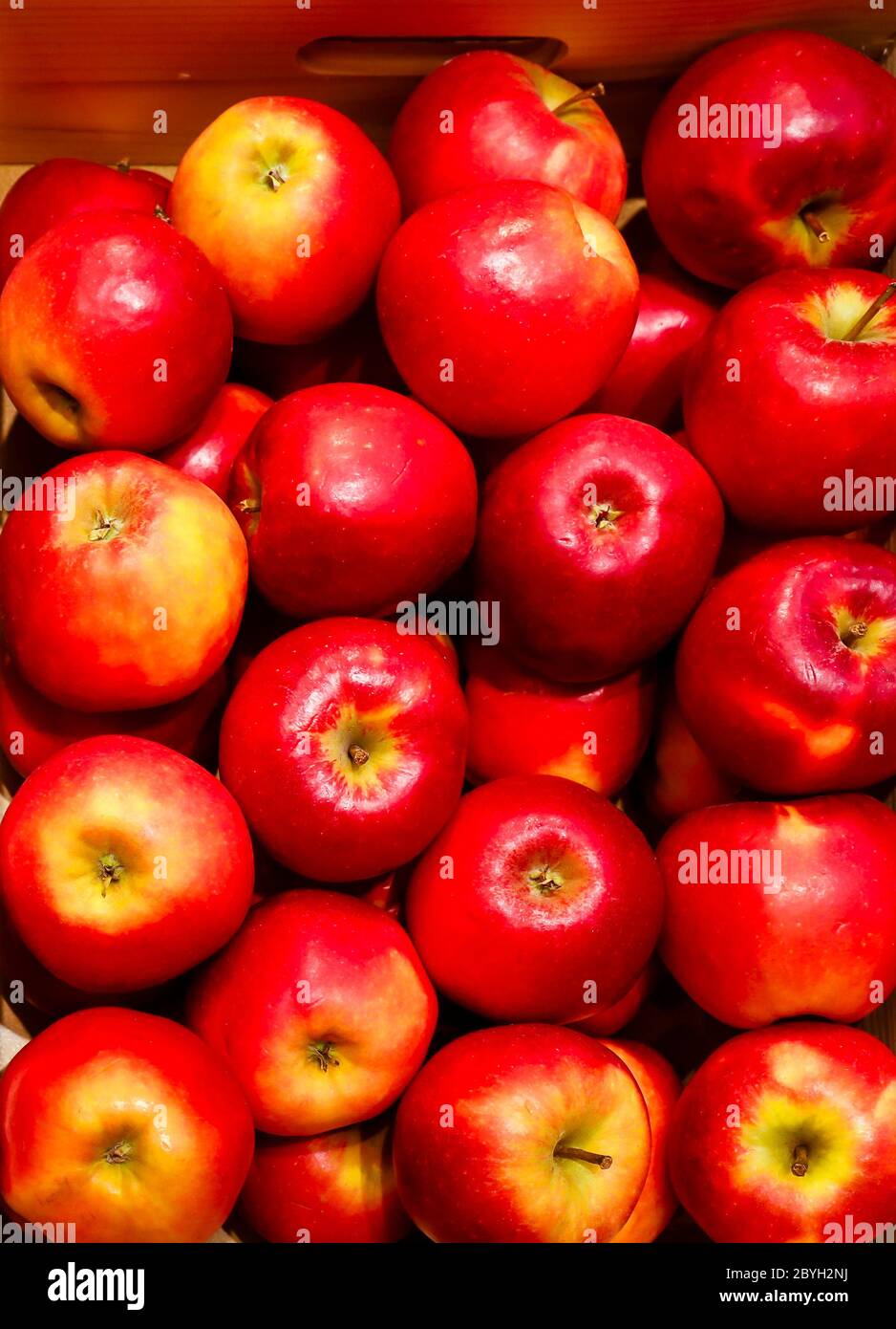 Germany - Red apples lie in a wooden box, Deutschland - Rote Aepfel ...