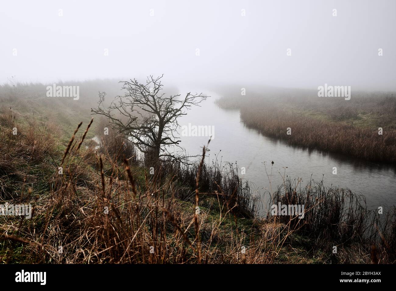Oare marshes nature reserve hi-res stock photography and images - Alamy