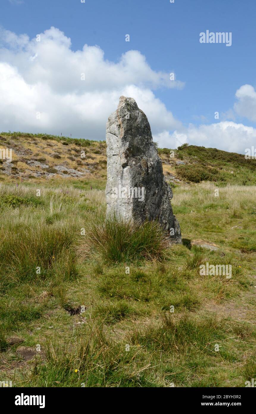Maen Hir Menhir prehistoric Standing Sone Mynydd Llangyndeyrn Crwbin ...