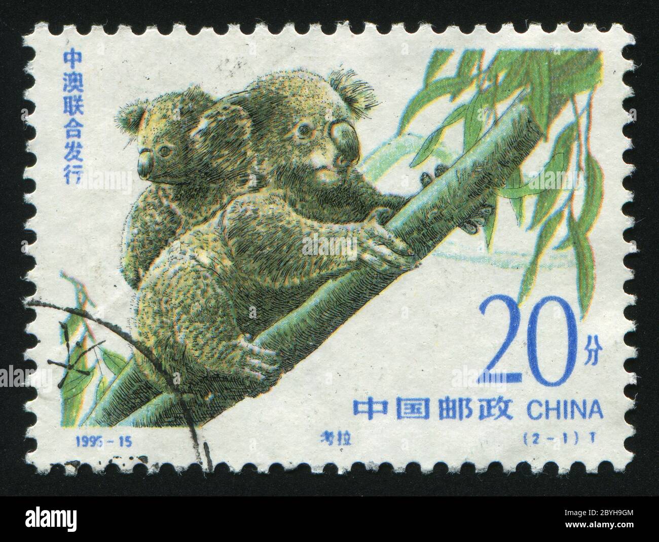 CHINA - CIRCA 1995: The Australian bear the koala, circa 1995 Stock ...