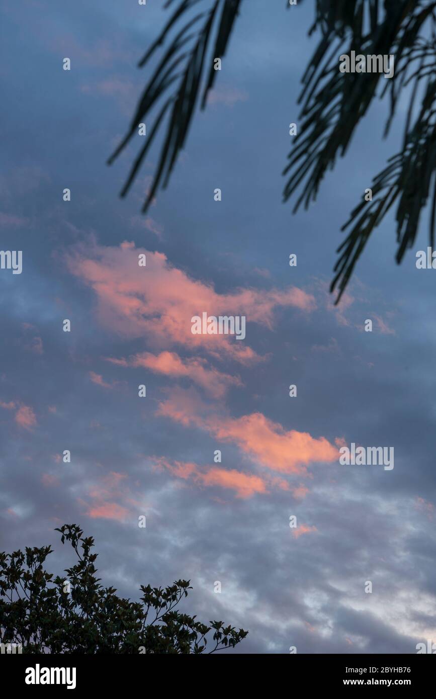 Red sky and silhouette photo hi-res stock photography and images - Alamy