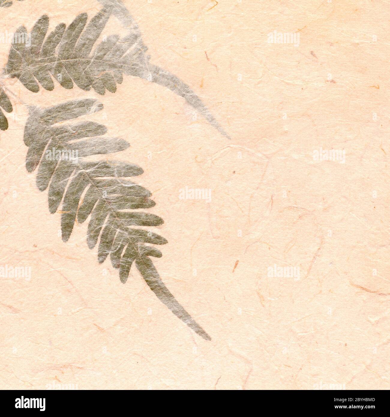 Handmade paper Stock Photo - Alamy