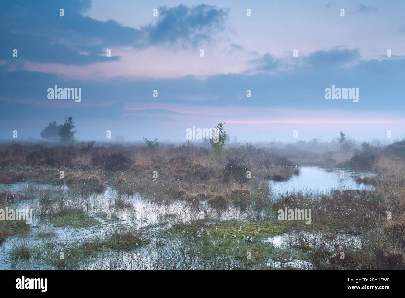 Foggy sunset hi-res stock photography and images - Alamy