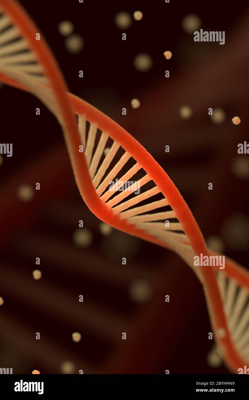 DNA chain macroshot Stock Photo - Alamy