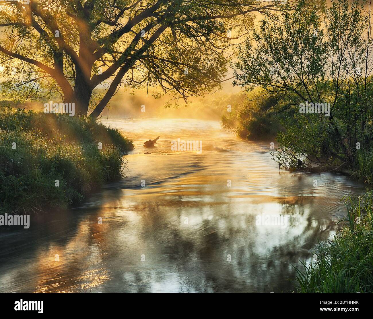 Morning fog on the river Stock Photo - Alamy