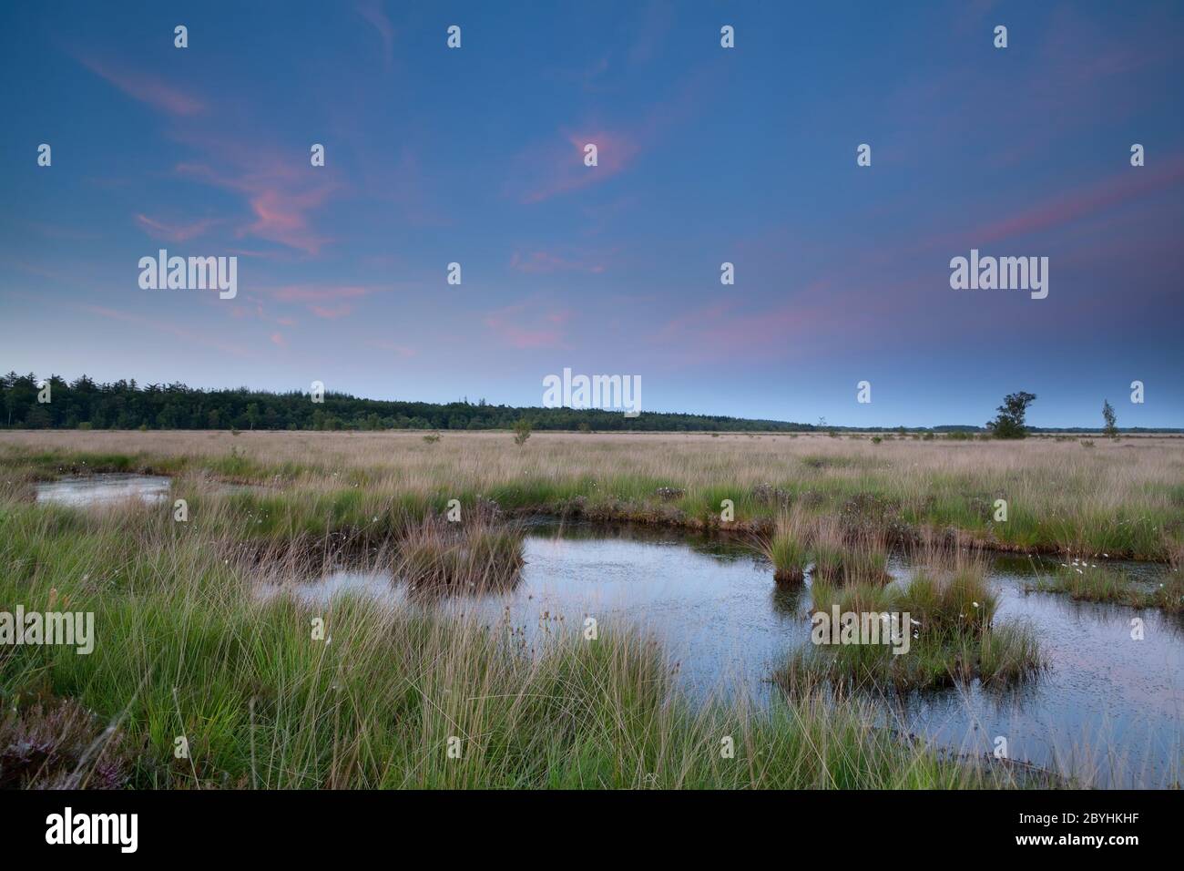 dusk over swamp Stock Photo - Alamy