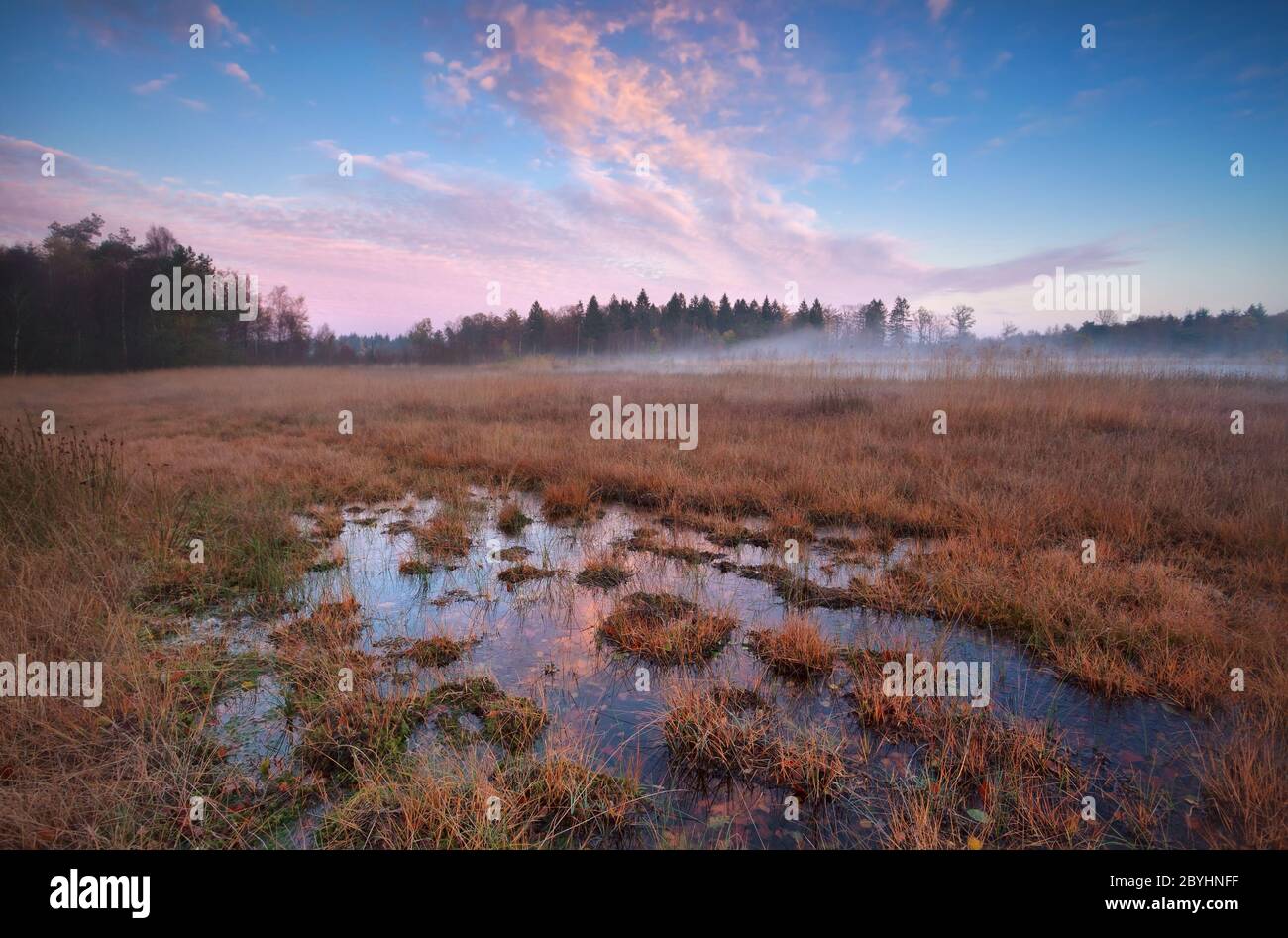 Sunrise over marsh hi-res stock photography and images - Alamy