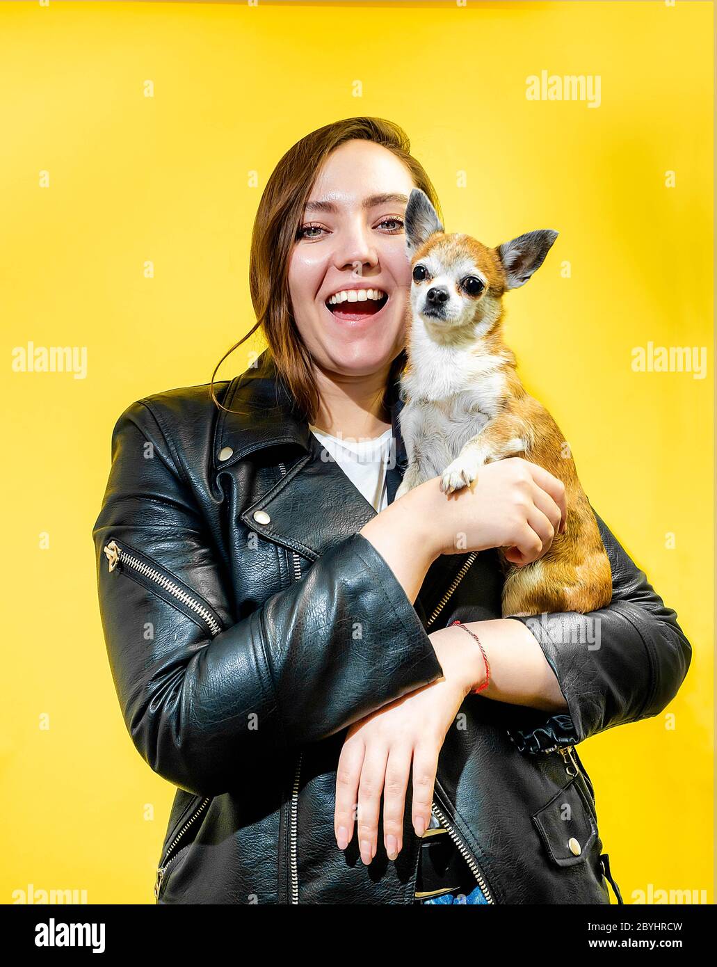 Young girl with a cute little dog on her hands yellow background around ...