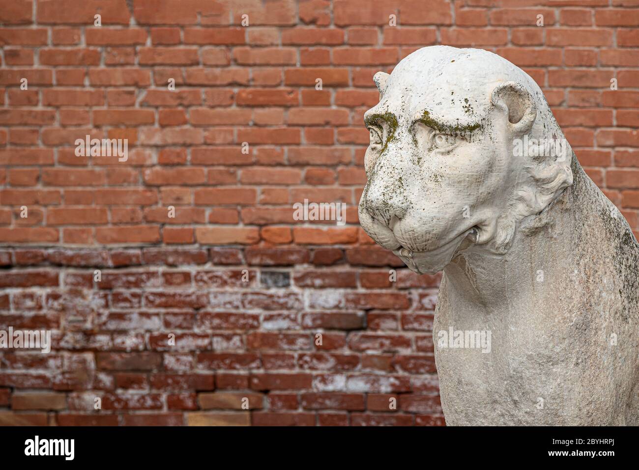 Ancient Venetian Piraeus lion head near Arsenal in Venice with copy ...