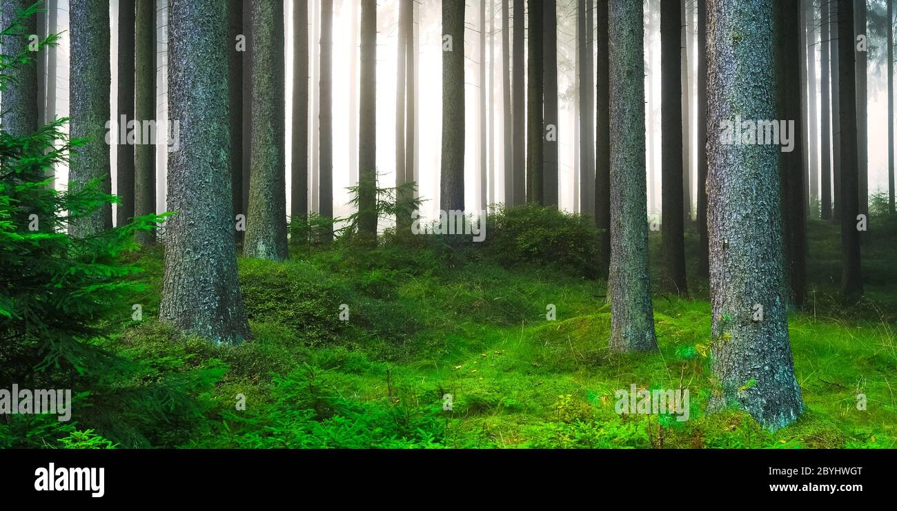 Dusty morning hi-res stock photography and images - Alamy