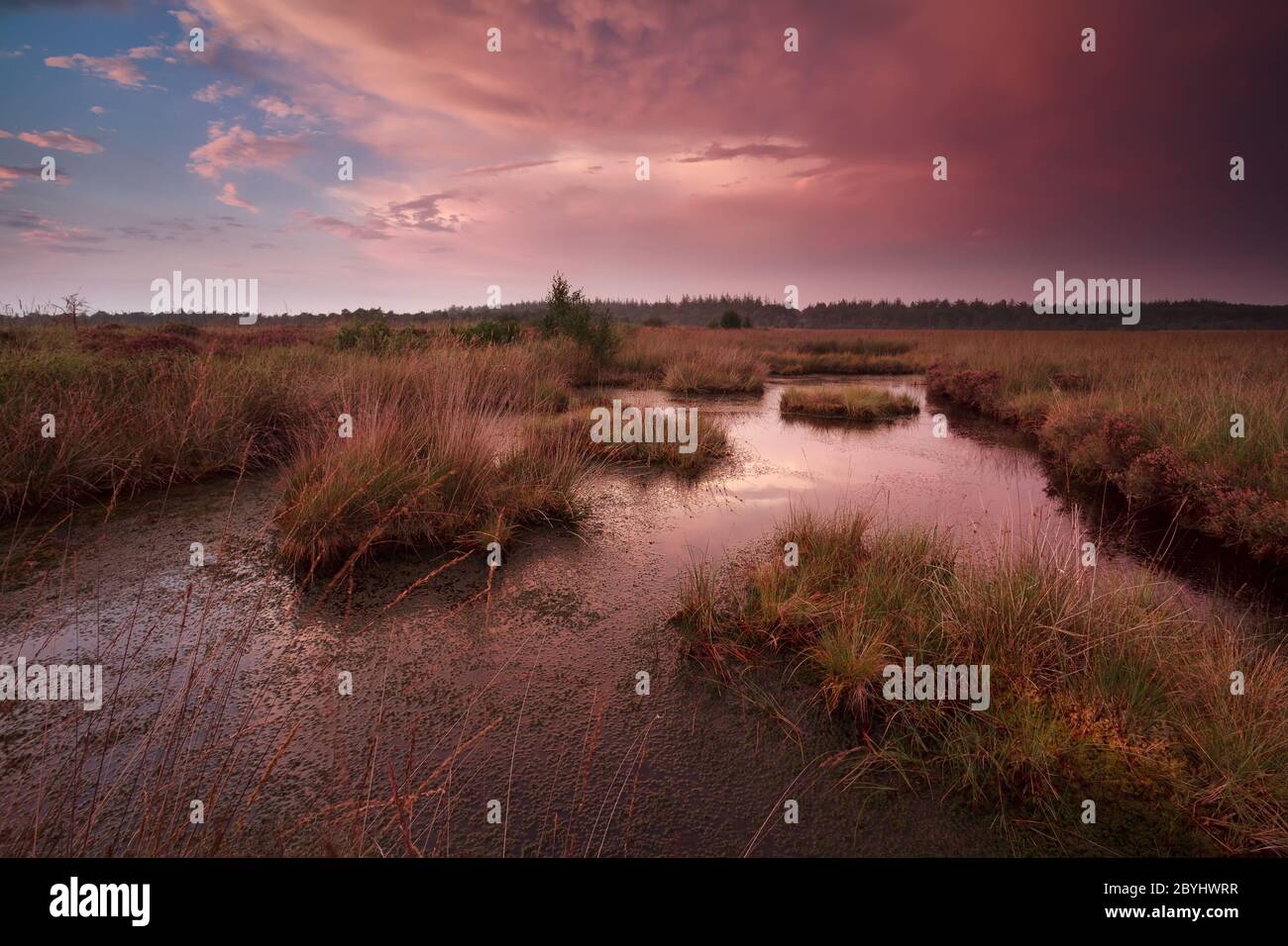dramatic sunset over swamp Stock Photo - Alamy
