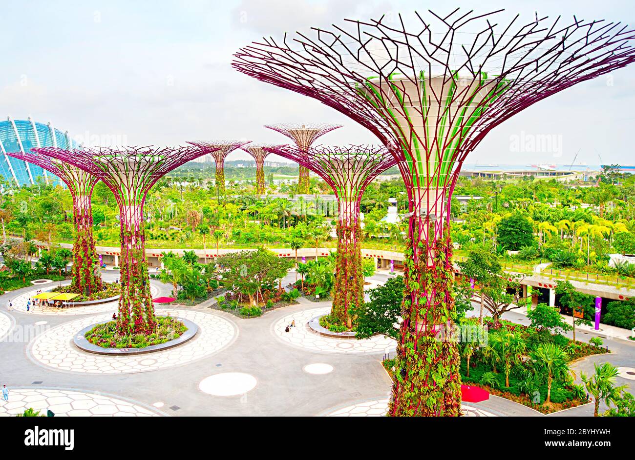Super tree aerial view hi-res stock photography and images - Alamy