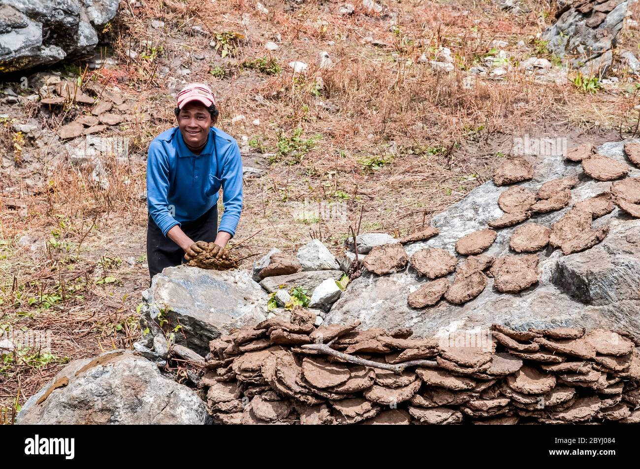 Nepal. Island Peak Trek. A young Nepali chap prepares Yak dung cow pats ...