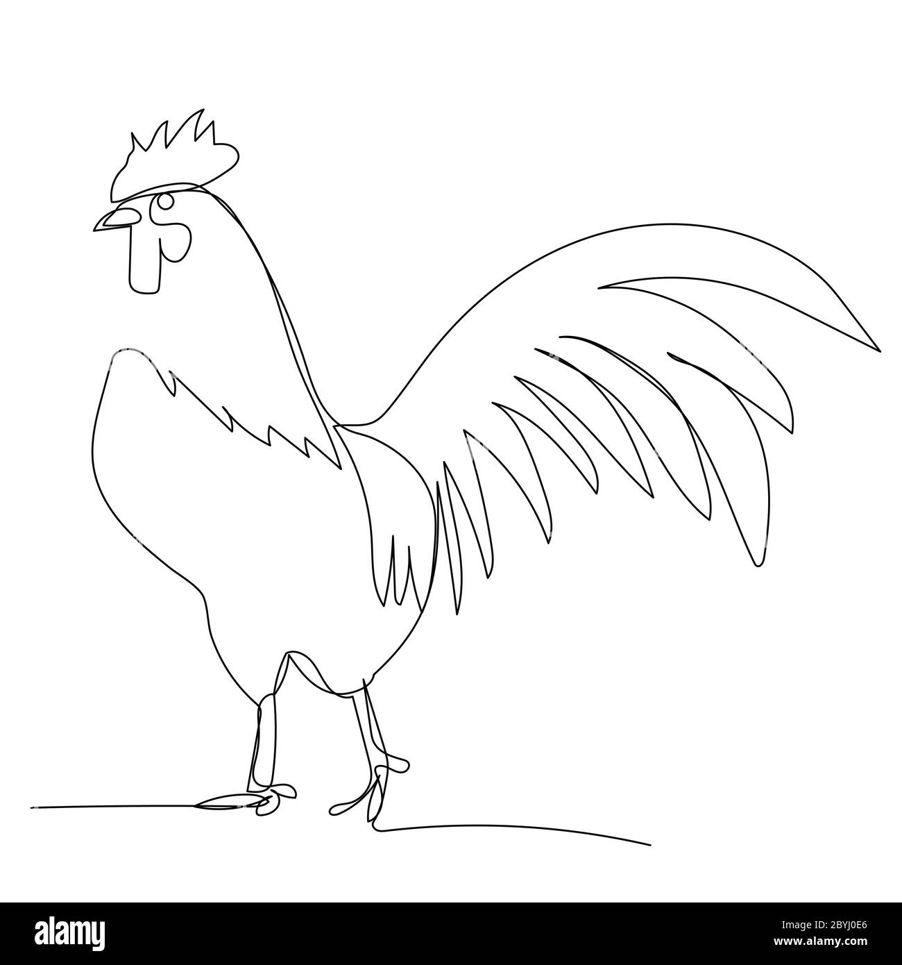 vector, white background, rooster continuous line drawing Stock Vector ...