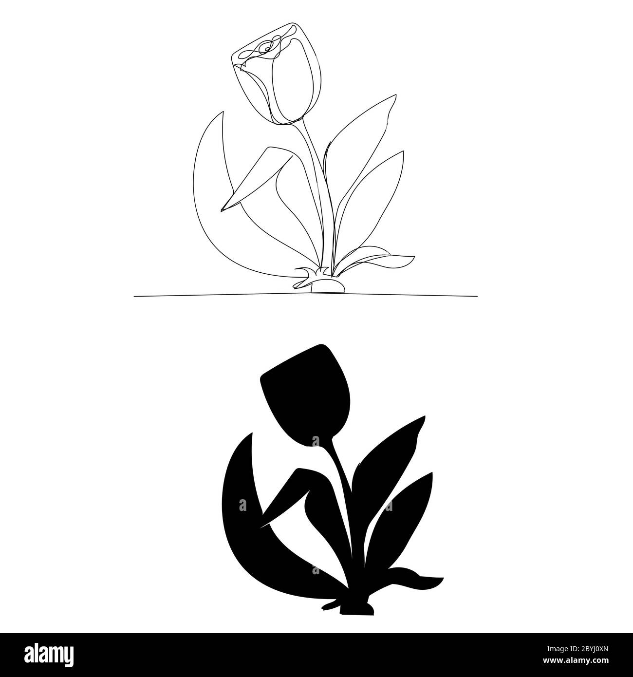 vector, white background, continuous line drawing of a tulip Stock ...
