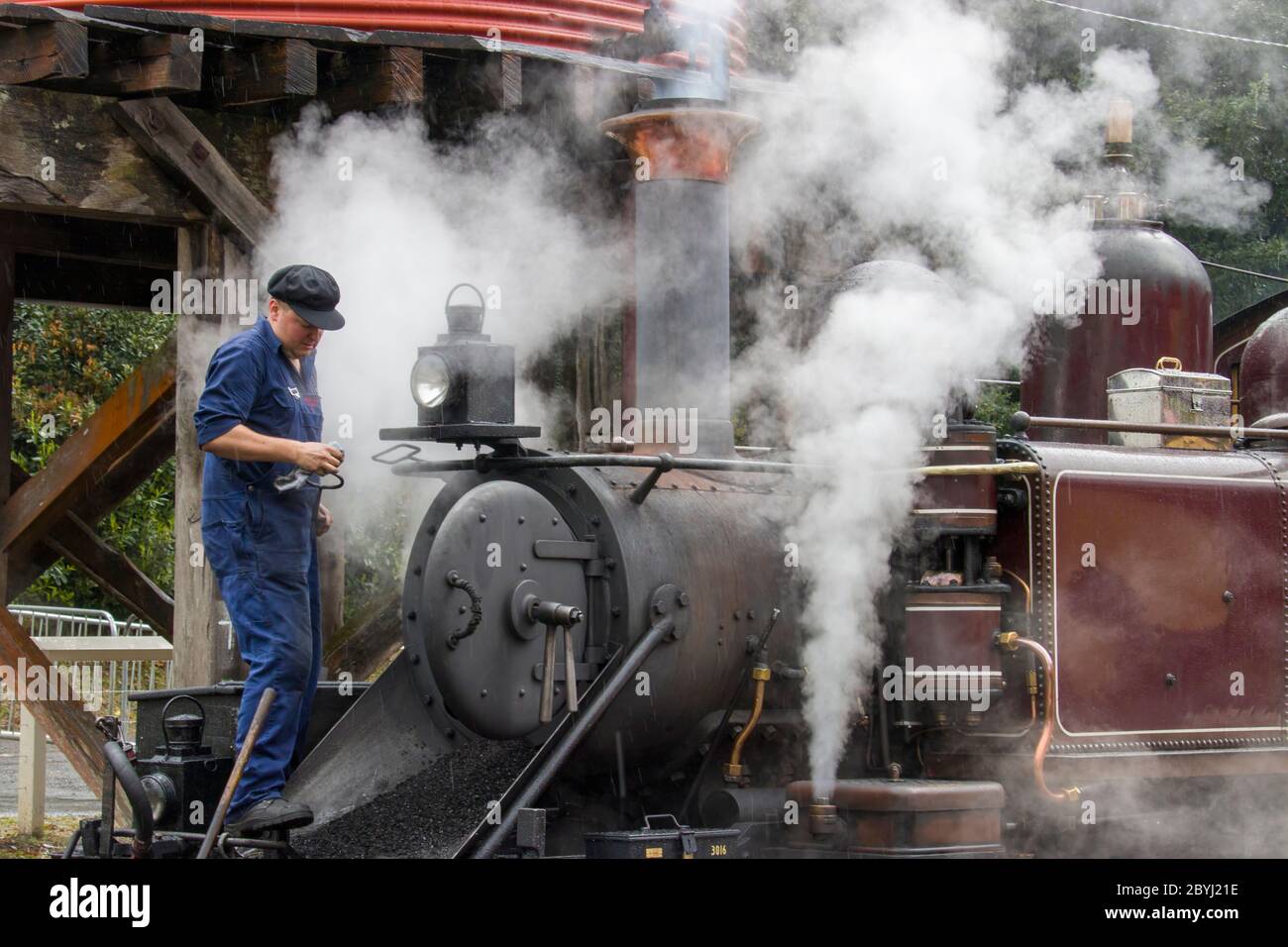 Melbourne Australia one staff is cleaning the ash from smokebox of the ...