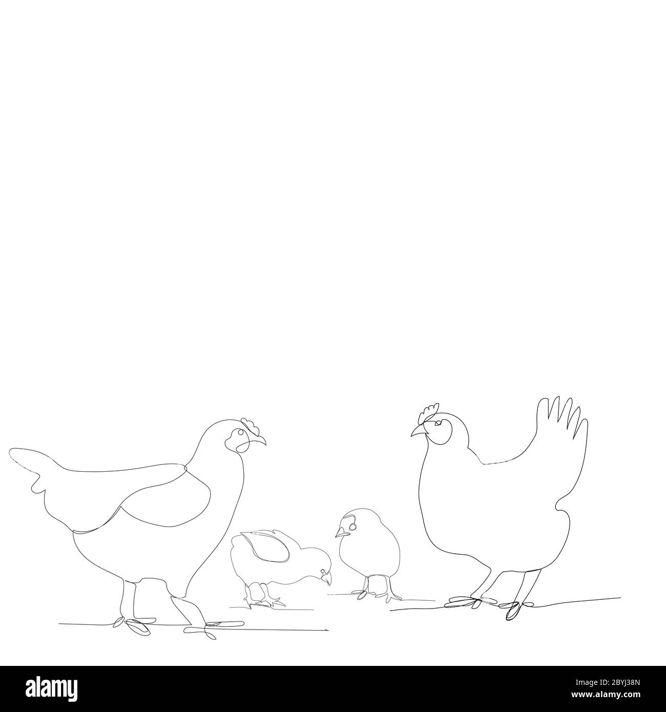 vector, white background, continuous line drawing of chickens and ...