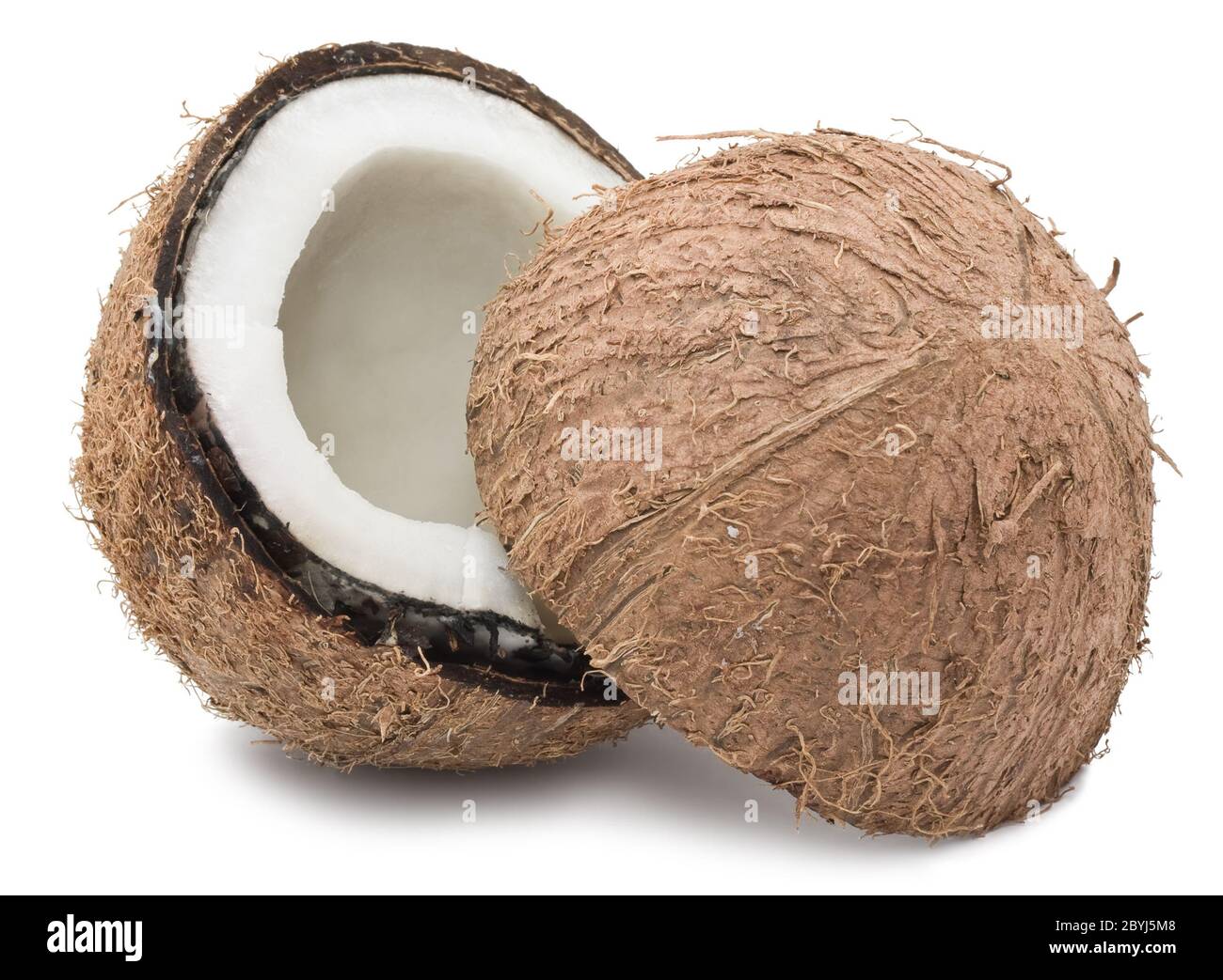 Coconut cross section hi-res stock photography and images - Alamy