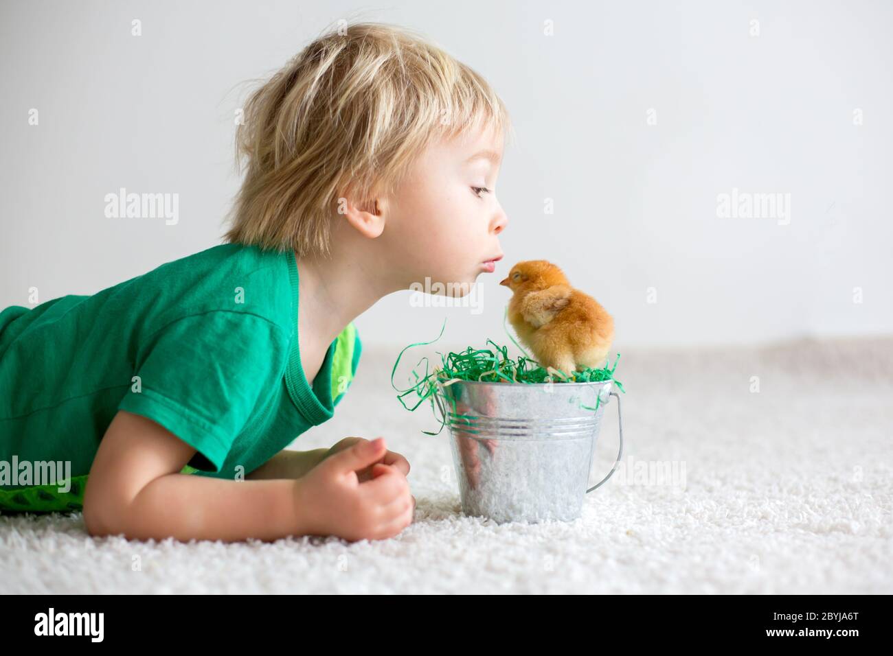 Cute sweet little blond child, toddler boy, playing with little chicks ...
