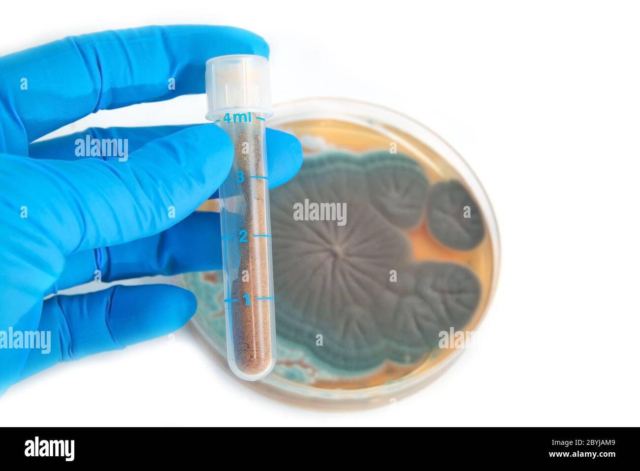 tube with antibiotics and Penicillium fungi Stock Photo - Alamy