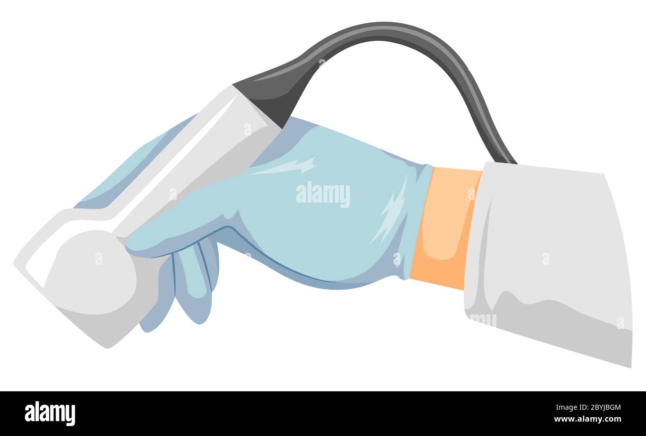 Illustration of Hand Holding Ultrasound Transducer Stock Photo - Alamy